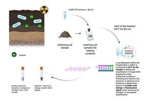 Biosensor for heavy metals detection | James Dyson Award